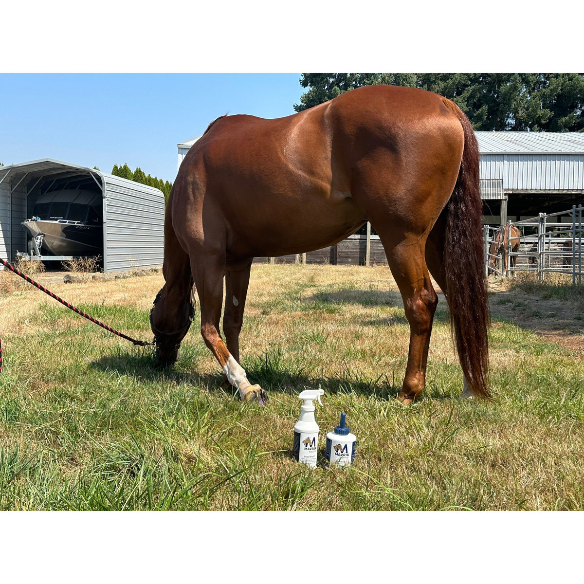 Good Stuff™ Multipurpose Spray Soothes, Treats & Prevents Skin, Coat ...